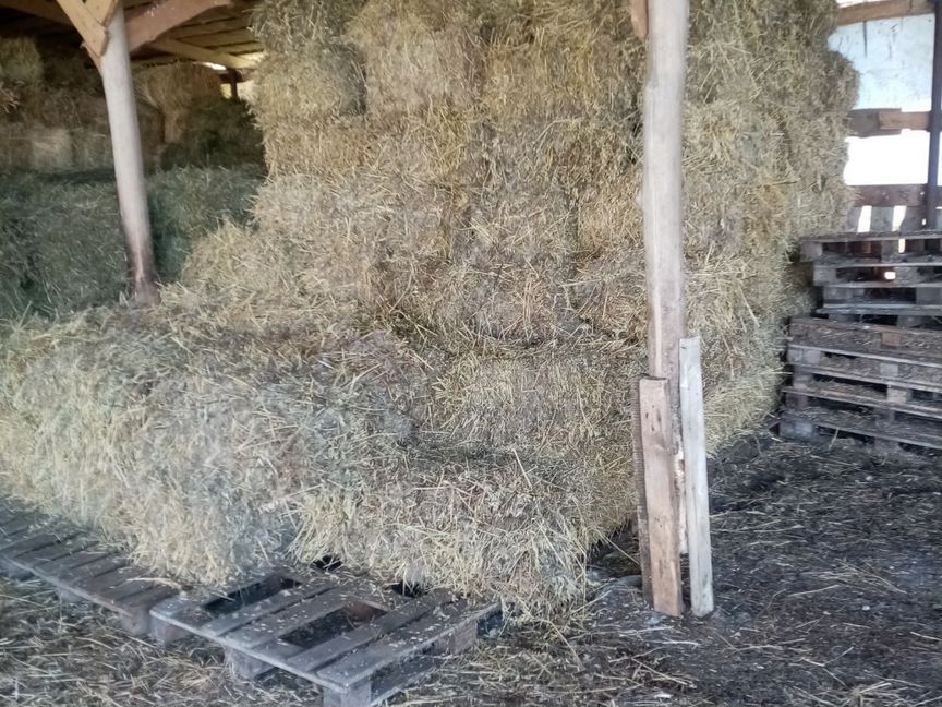 Сено в тюках