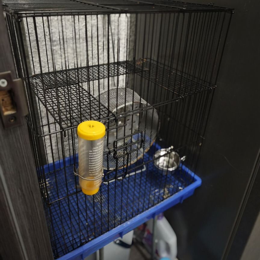 Клетка для грызунов большая