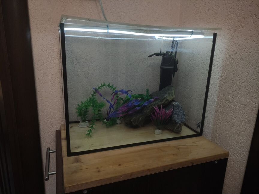 Аквариум 50л с фильтром и декорациями