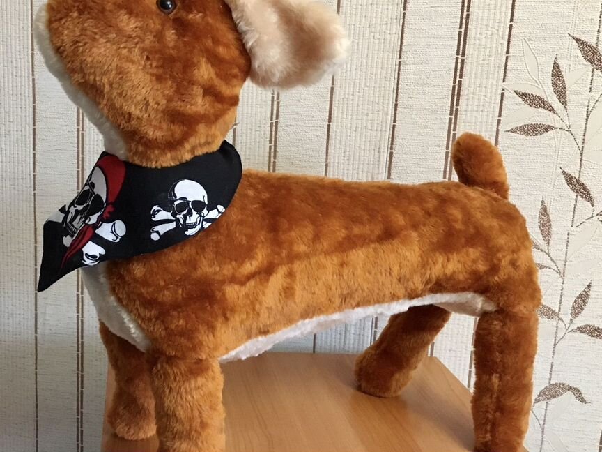 Одежда для собак мелких пород