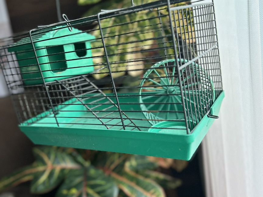 Клетка для грызунов и переноска бу