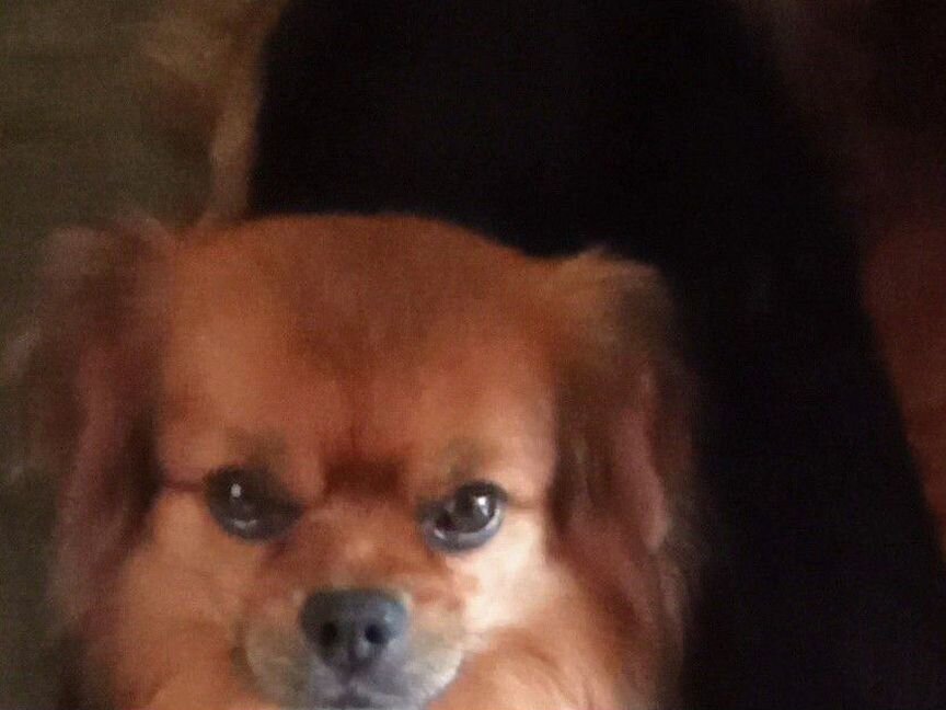 Красивый парень ищет невесту