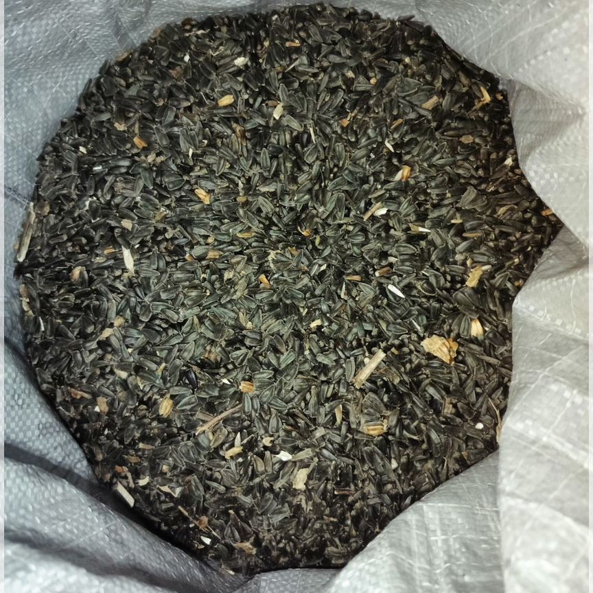 Семечки подсолнечника для птиц