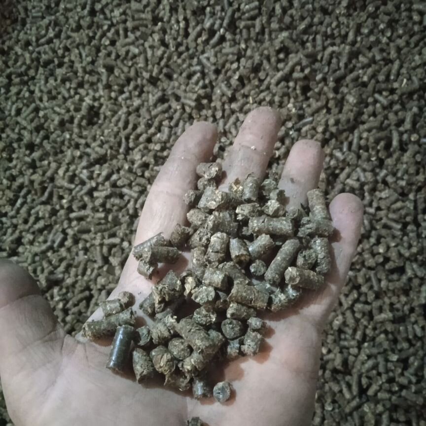 Шрот подсолнечный