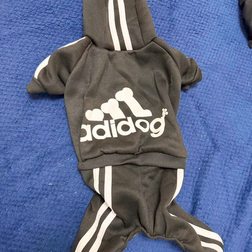 Кофта и ботинки для собаки