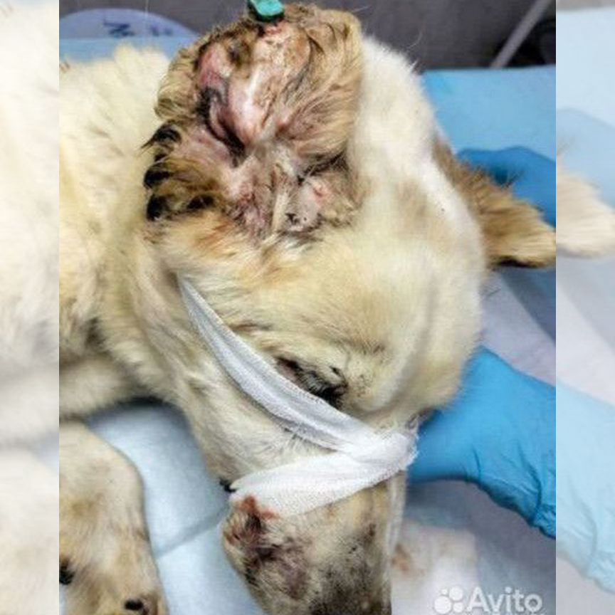 Как страшно побывать в Аду