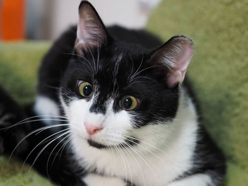 Малыш Яша уже собрался к Вам