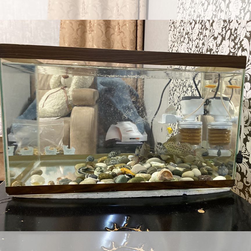 Аквариум с рыбками