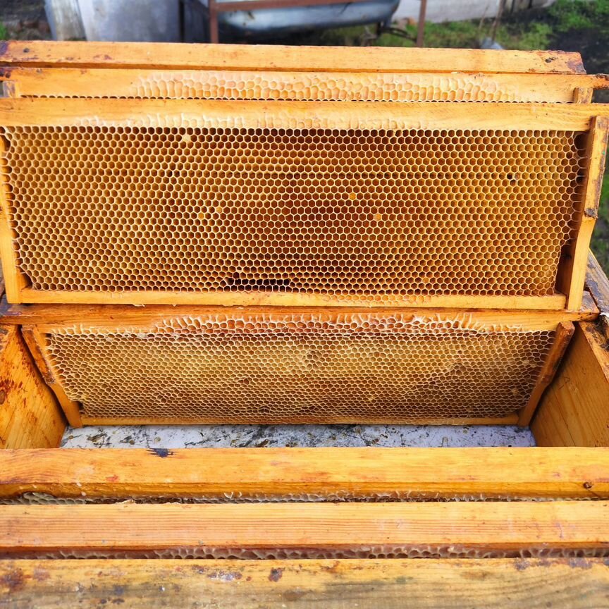 Сушь на 145 мм