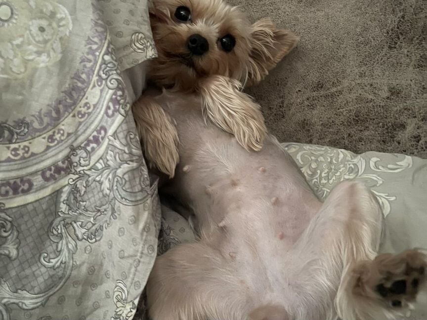 Ищем жениха