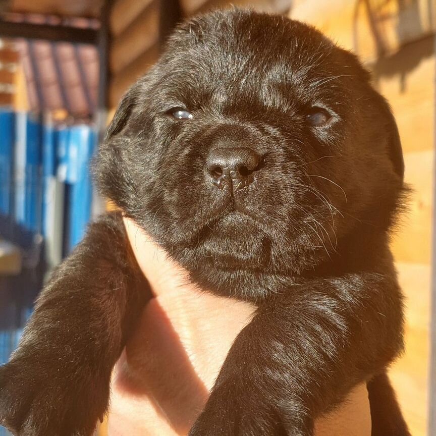 Брутальный пацанчик