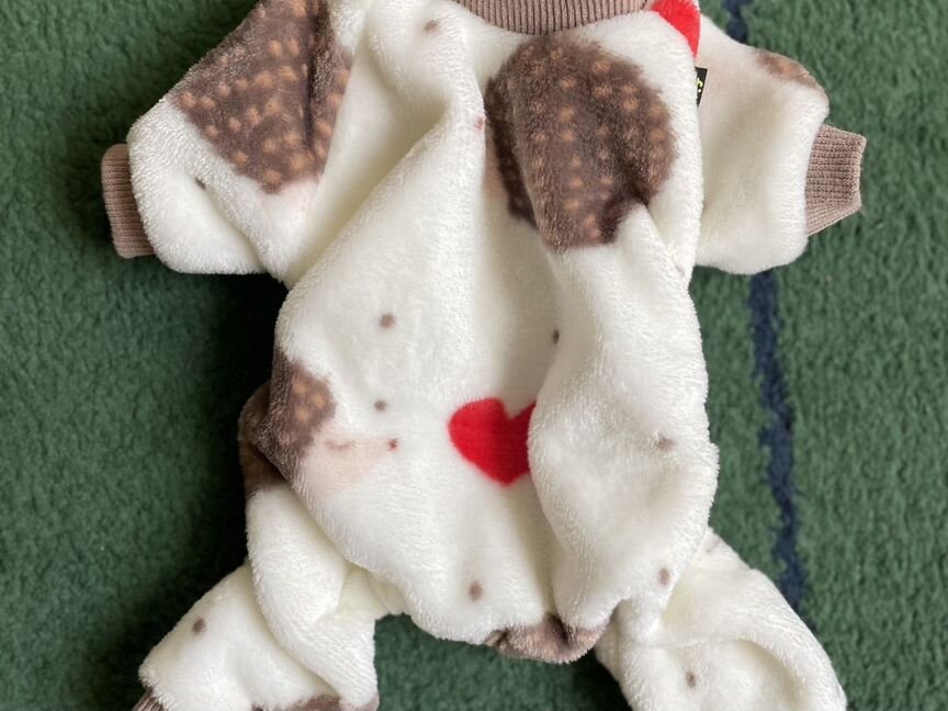 Костюм для собаки