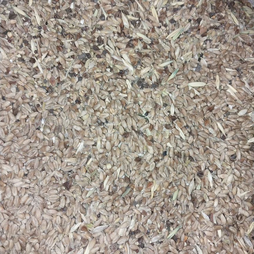 Зерноотходы