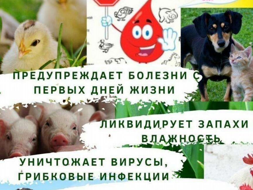Любисан эффективная дезинфекция, подстилка