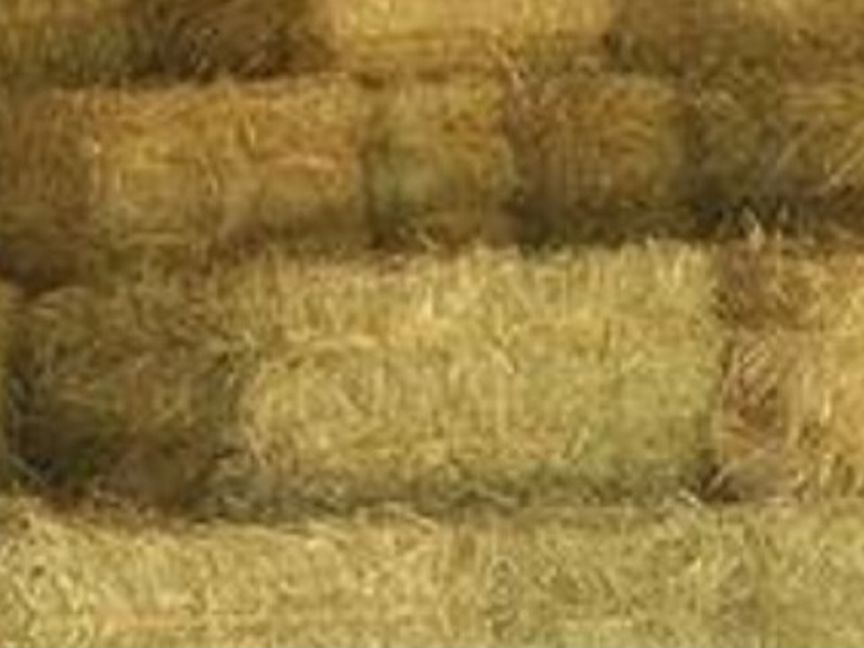 Сено Солома в Брикетах