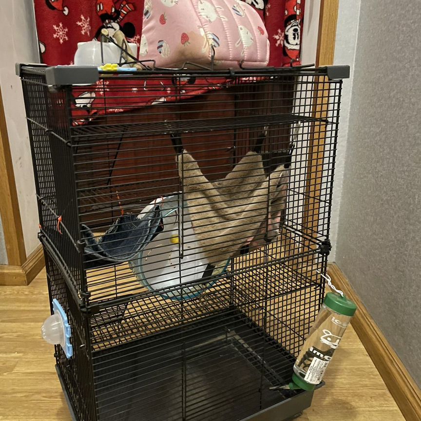Клетка для грызунов