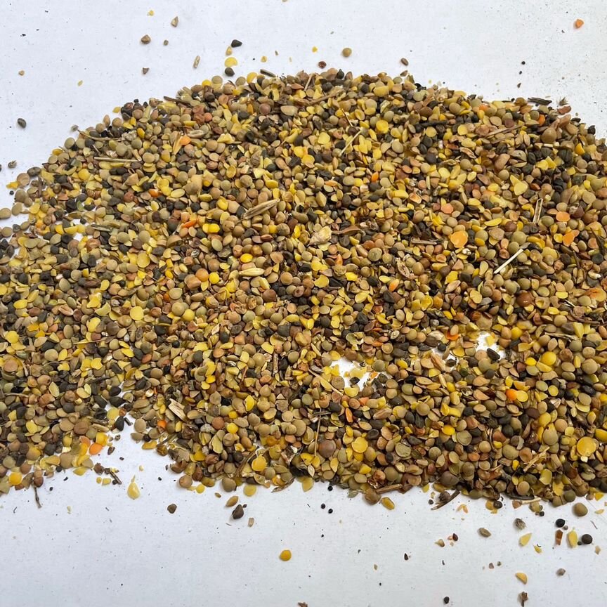 Чечевица отход отсев на корм животным