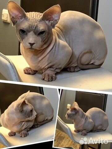 Шикарный бамбино вязка