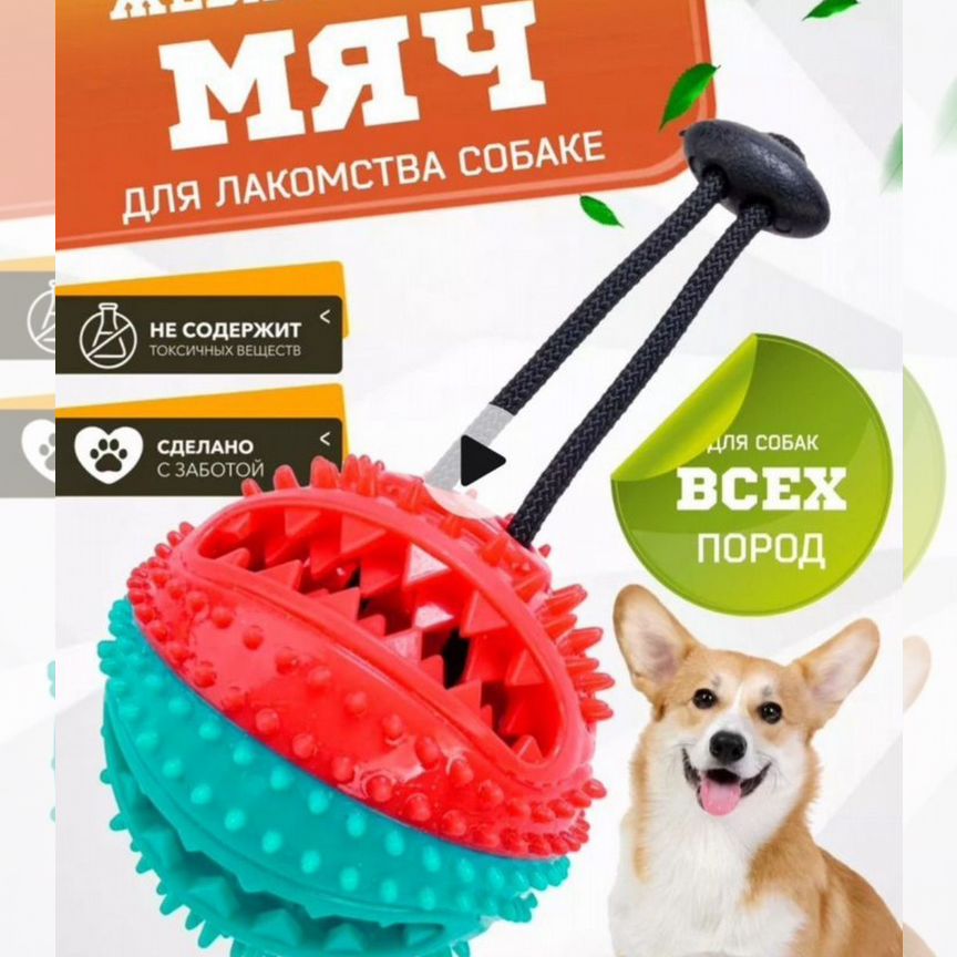 Жевательный мяч для лакомства собаке