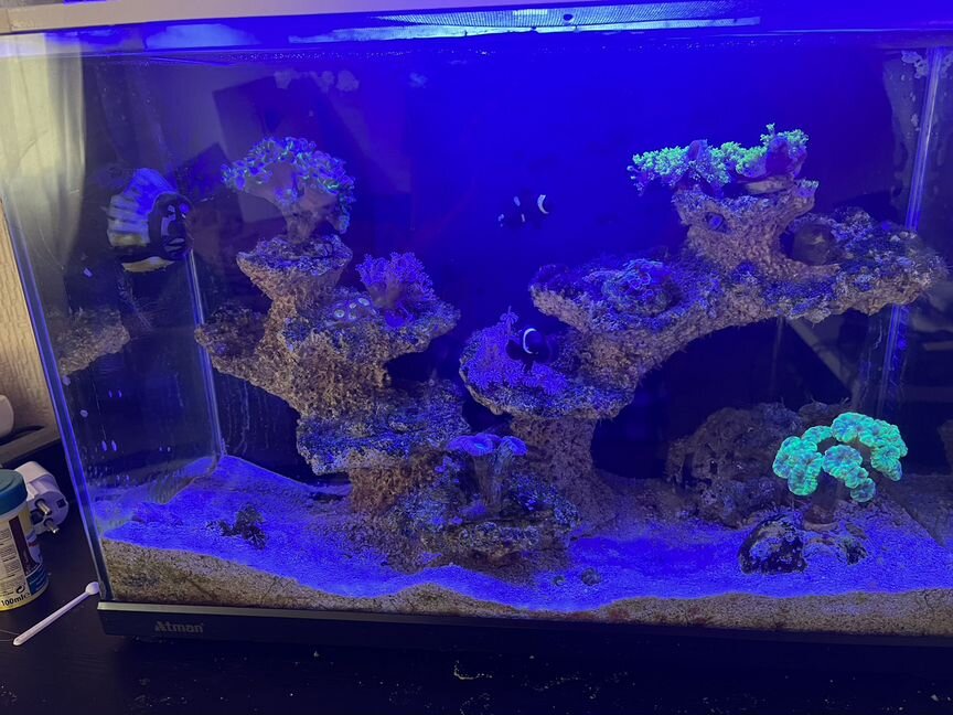 Морской аквариум