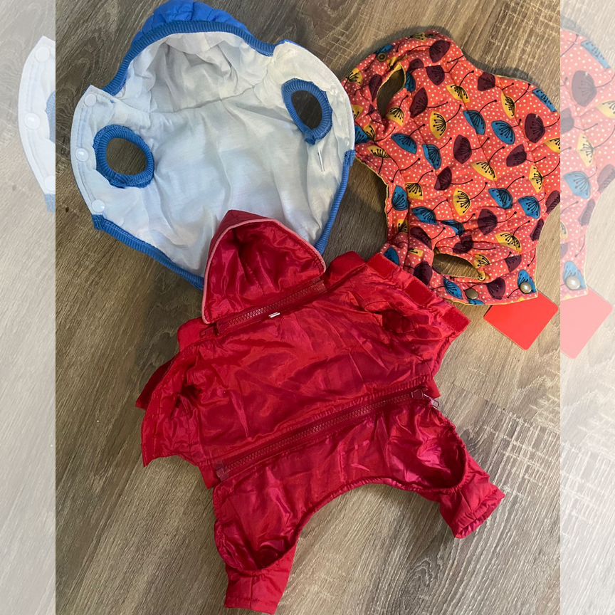 Комбинезон и жилетки XS для собачки