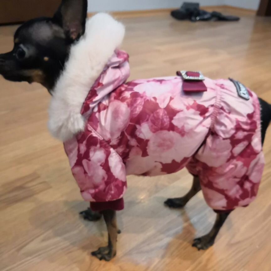 Комбенизон зимний на собаку