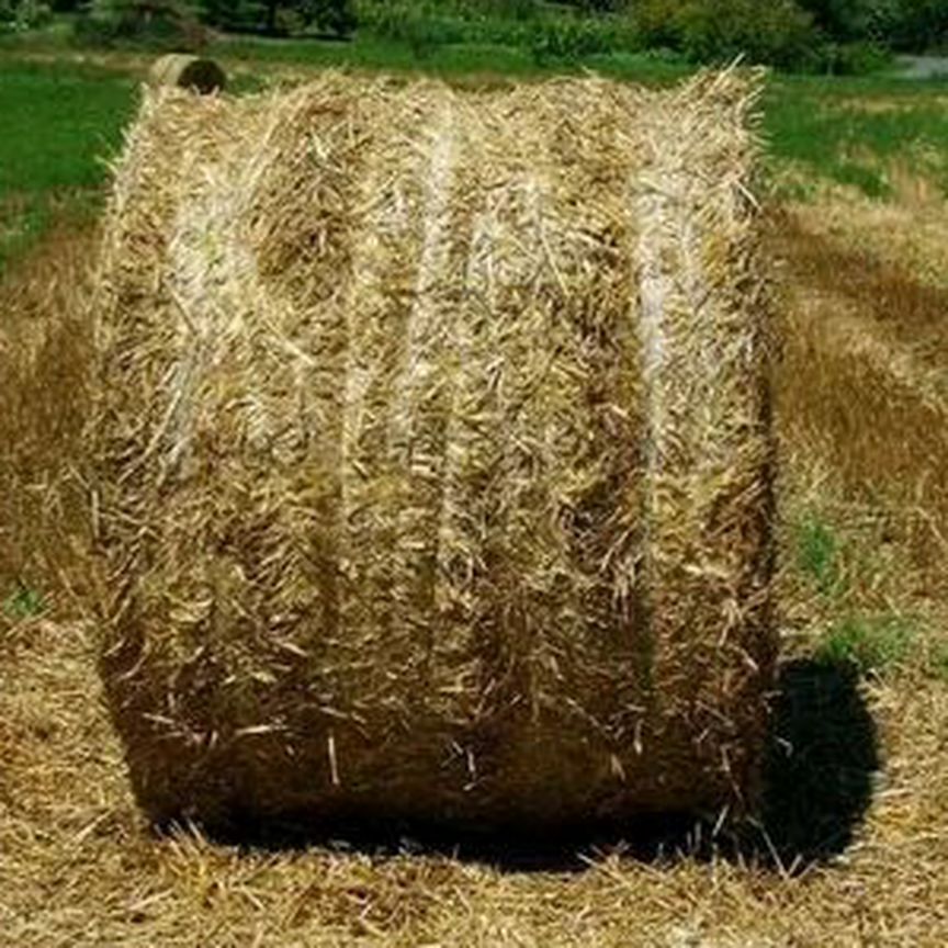 Сено в тюках