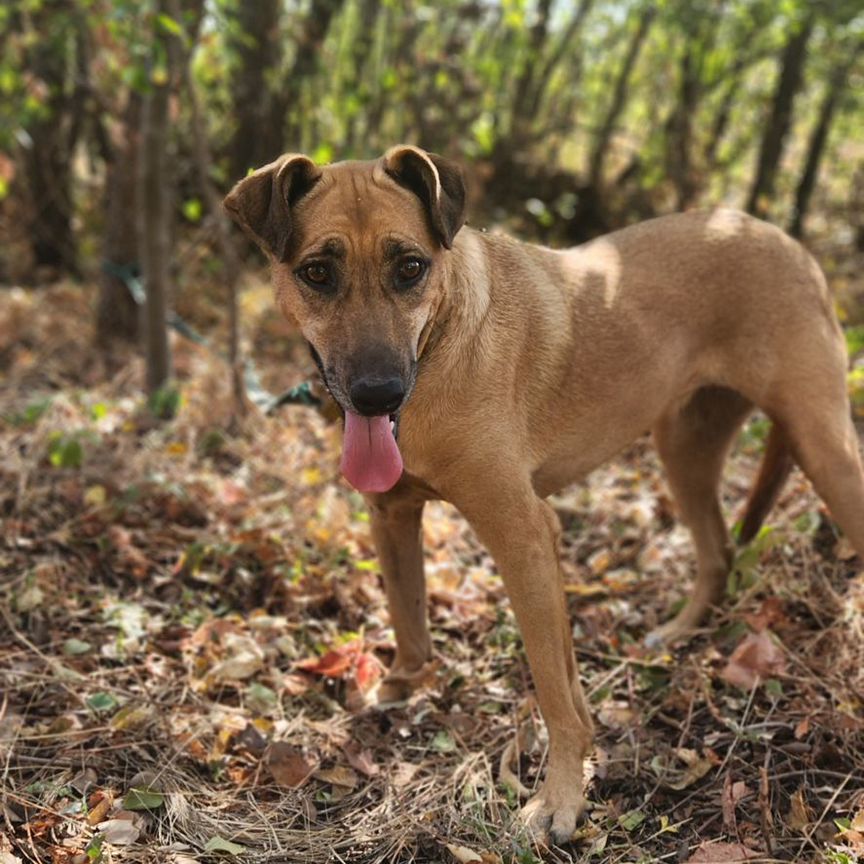 Злата в поисках семьи