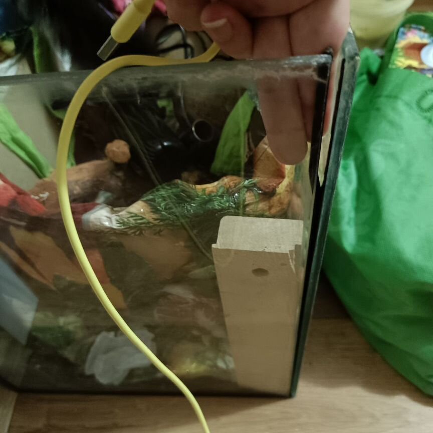 Аквариум террариум