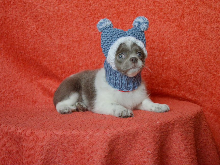 Лиловый мальчик-зайчик