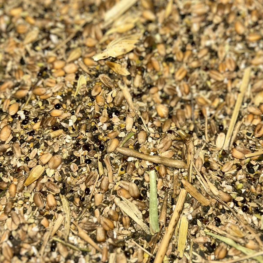 Зерноотходы