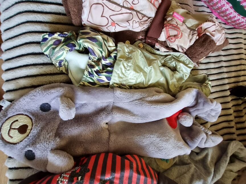 Костюмы для маленьких собак