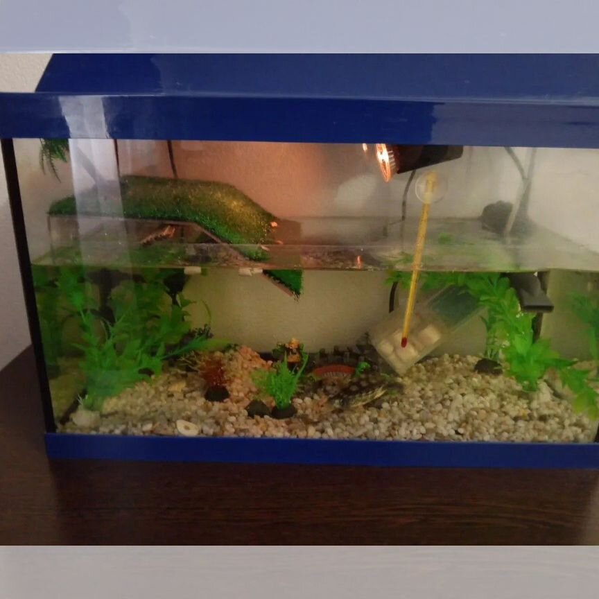 Аквариум с островком для черепахи