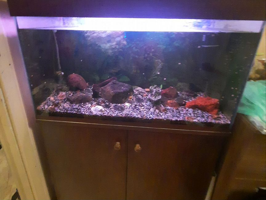 Аквариум с тумбой бу