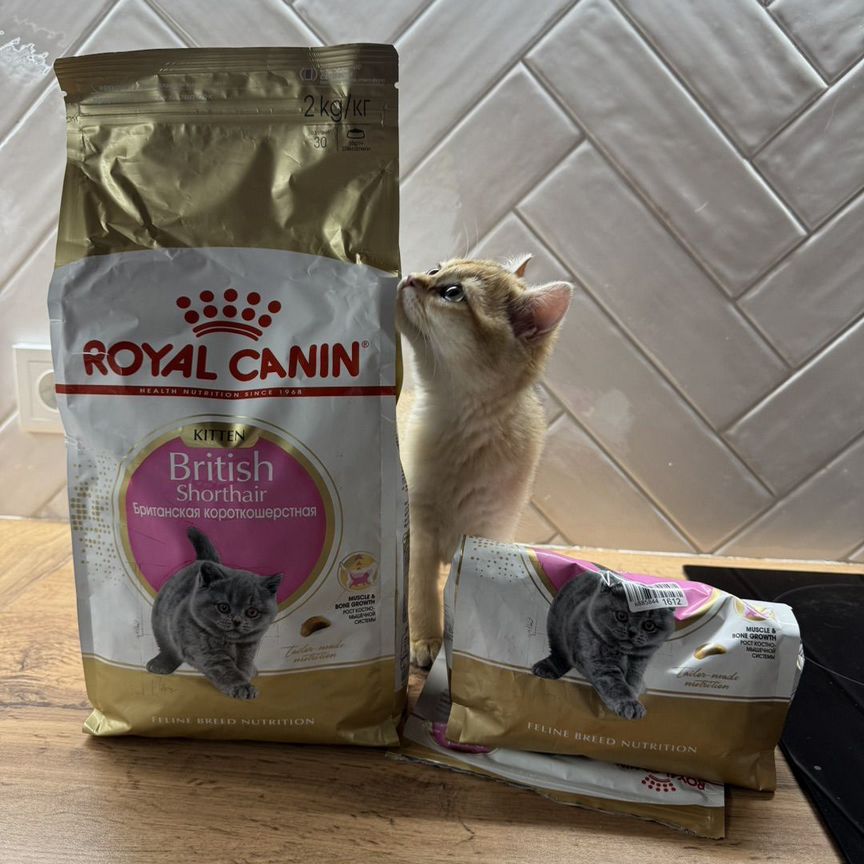 Корм Royal Canin для котят