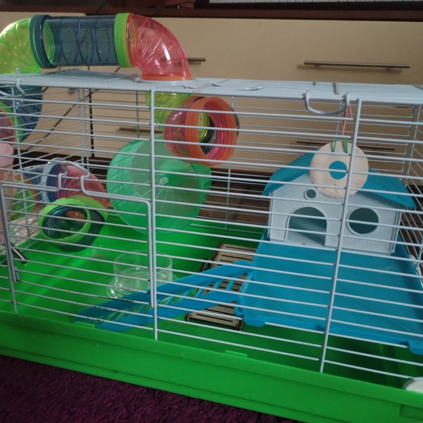 Клетка для грызунов бу