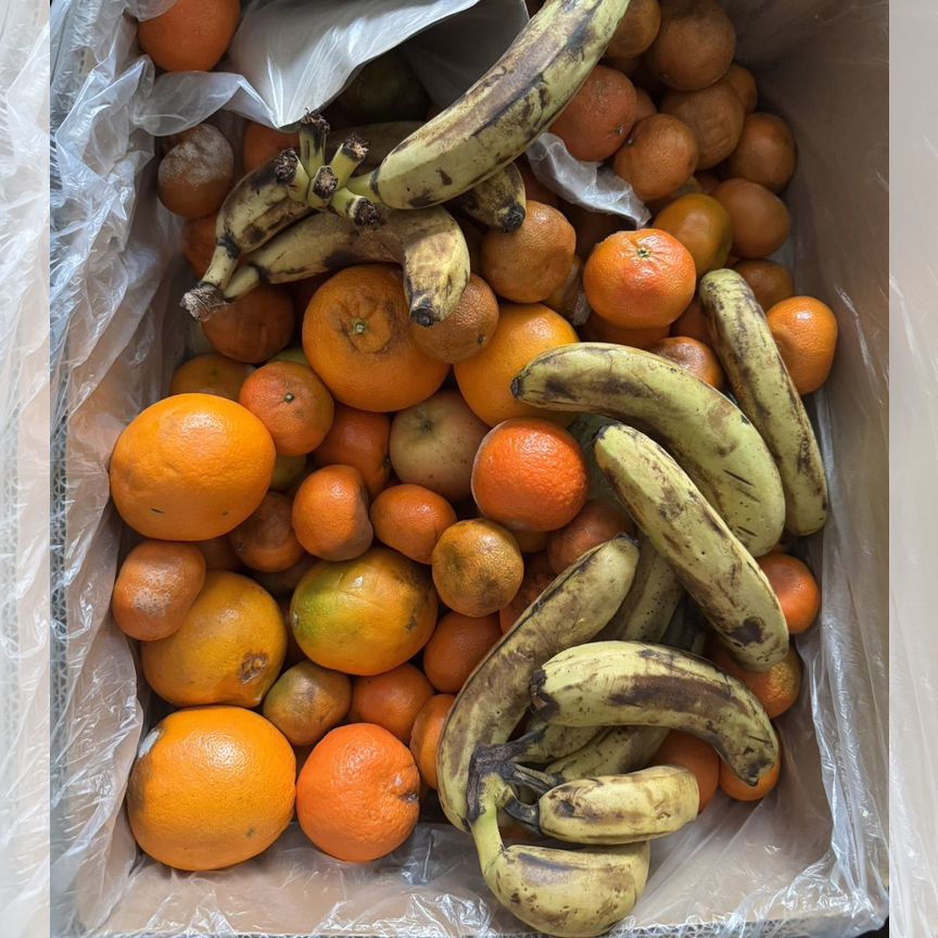 Овощи,фрукты,хлеб