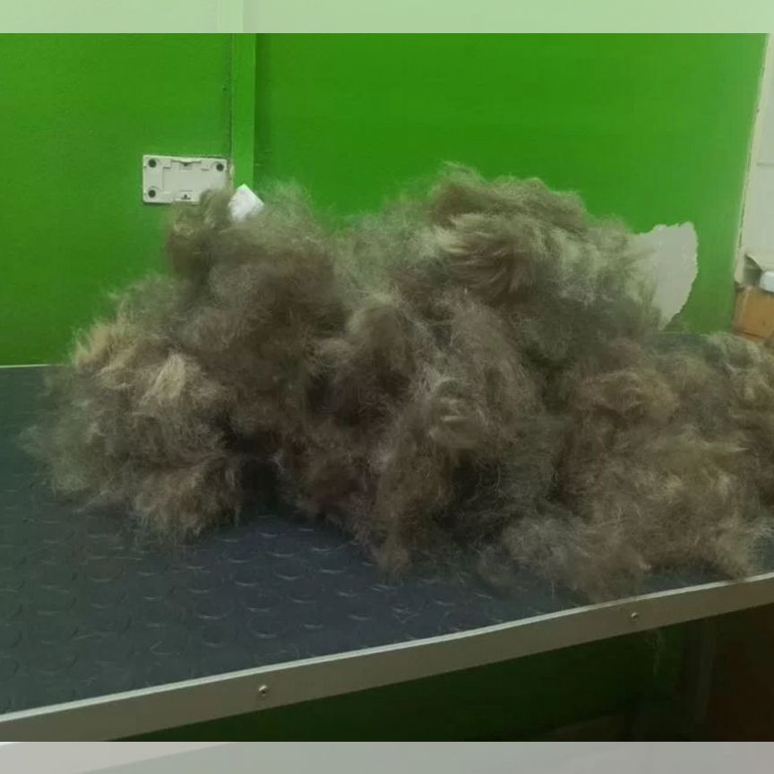 Собачий пух (вычес)