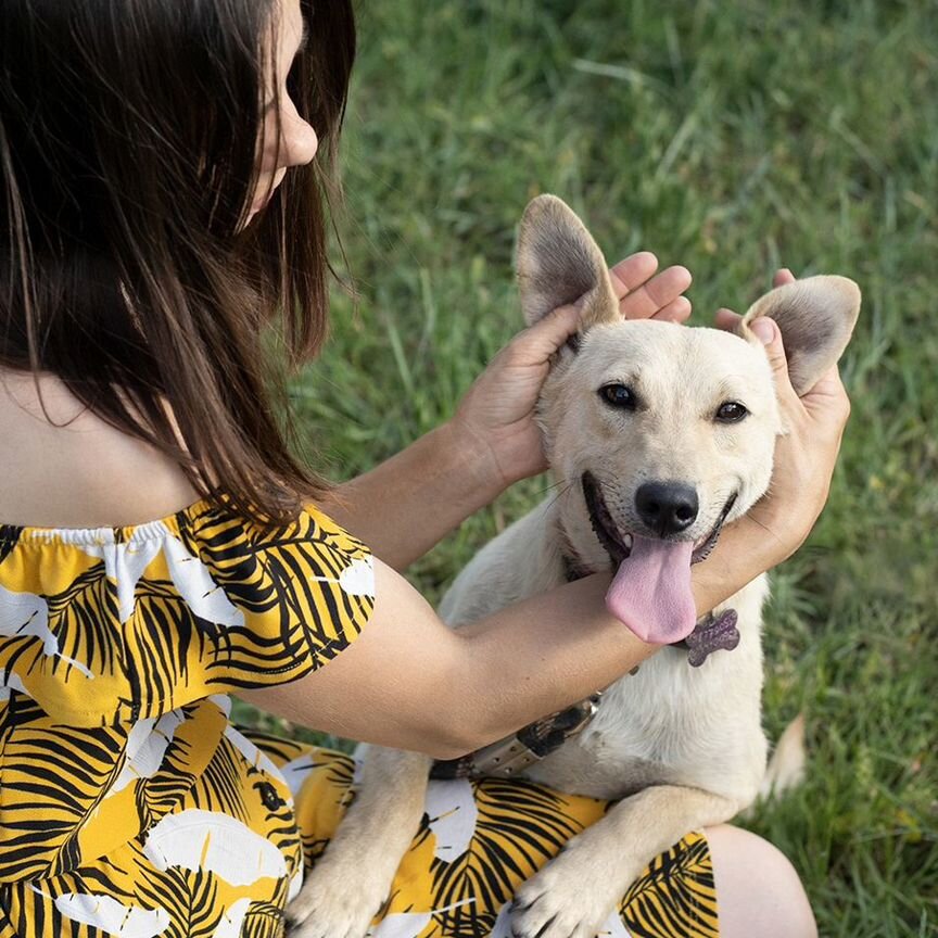 Красавчик Тим ищет любимую семью