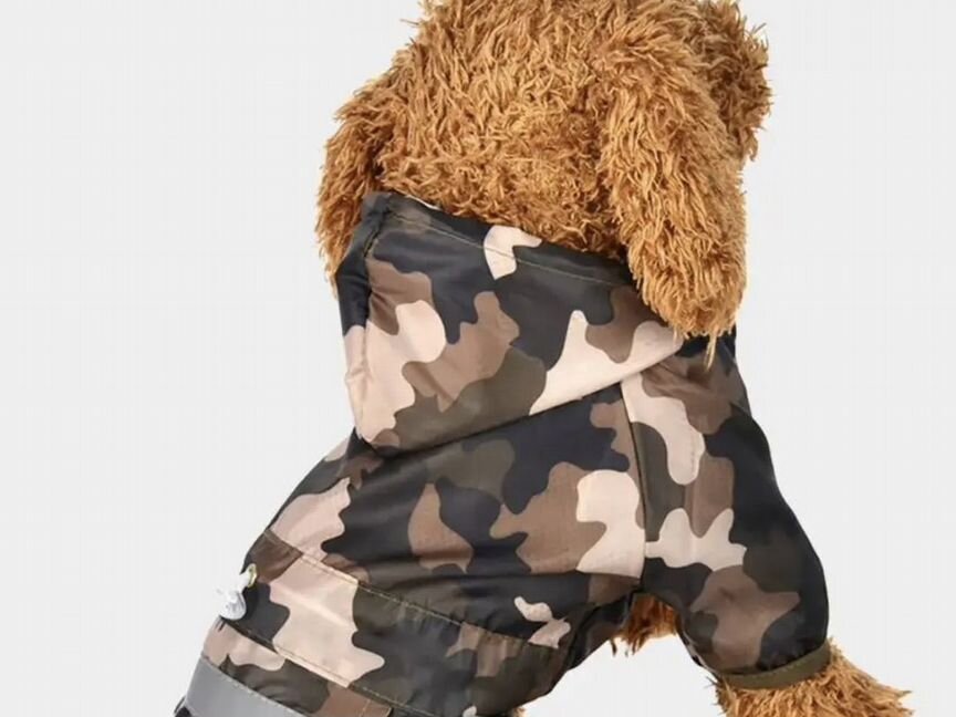 Дождевик- комбинезон для собак мелких пород