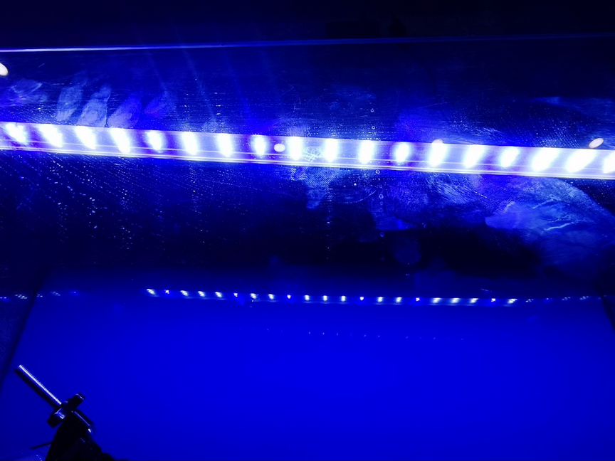 Аквариумные принадлежности