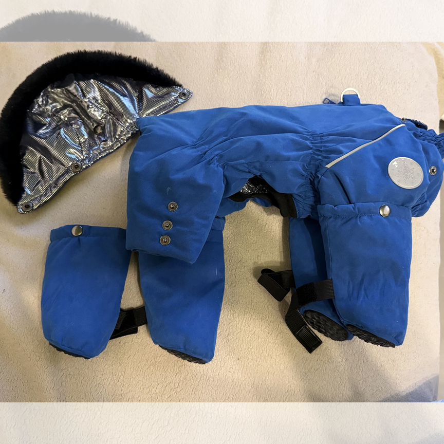 Зимний комбинезон для маленькой собаки