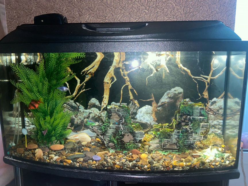 Аквариум с тумбой 120-150л