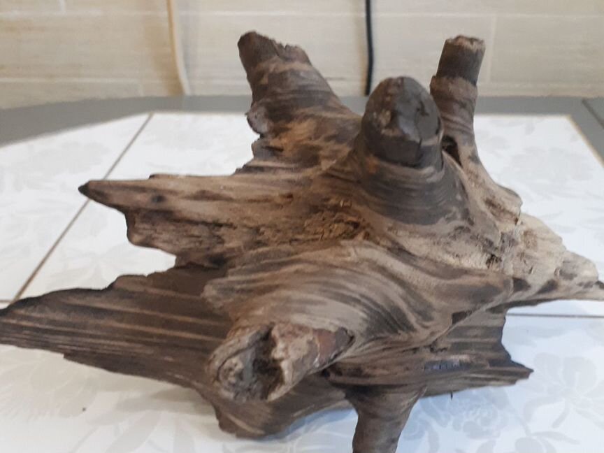 Коряги для аквариума