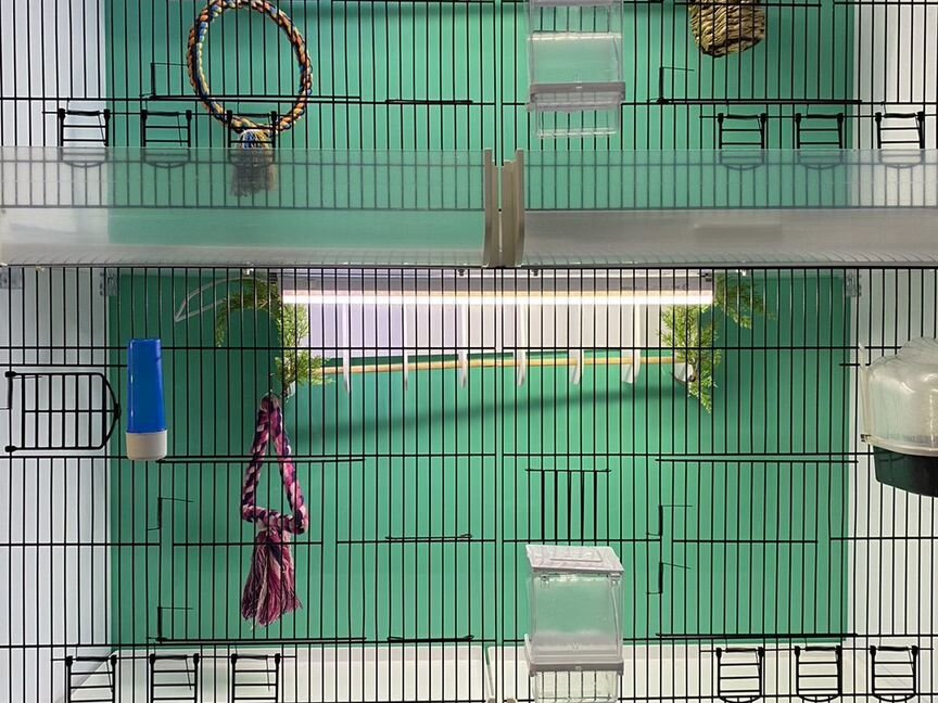 Бокс для птиц, вольер для птиц, клетка