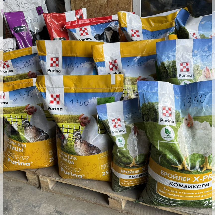 Комбикорма Пурина