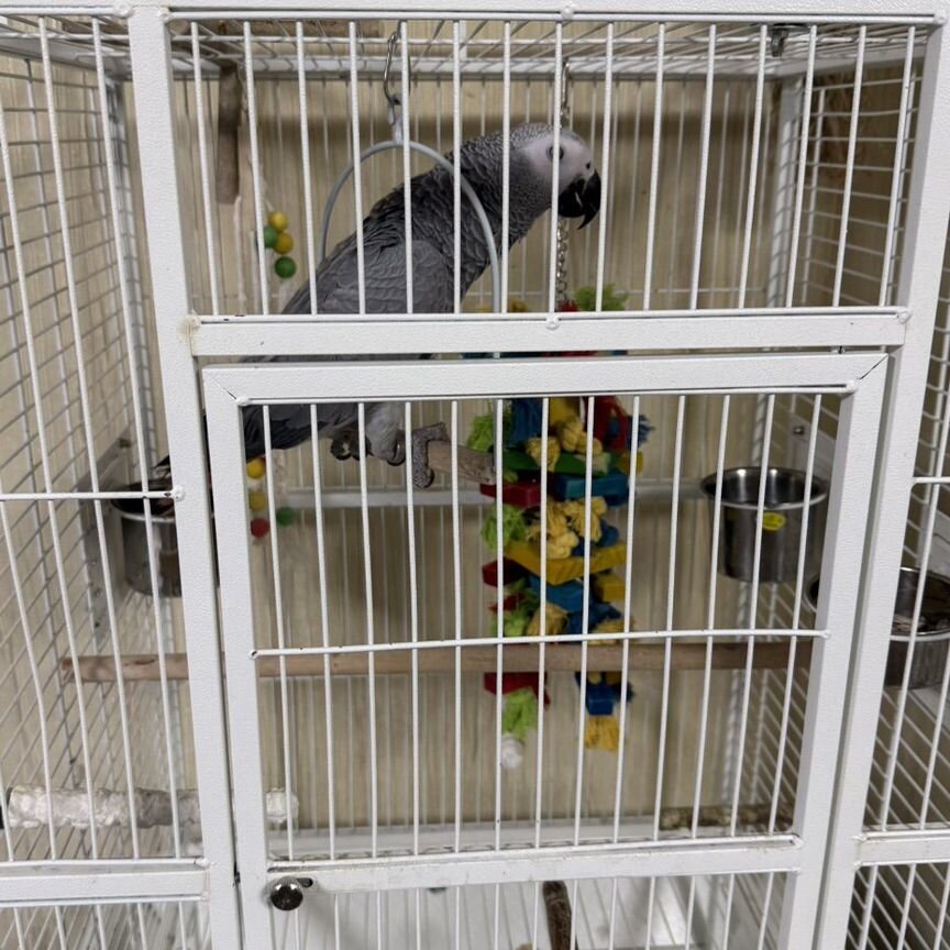 Клетка для попугая