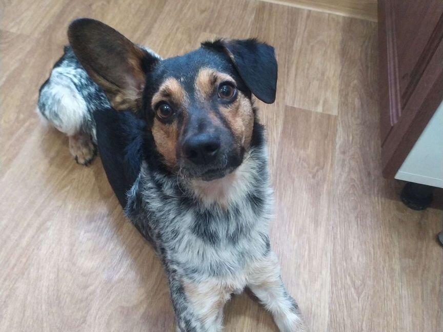 Ищем невесту