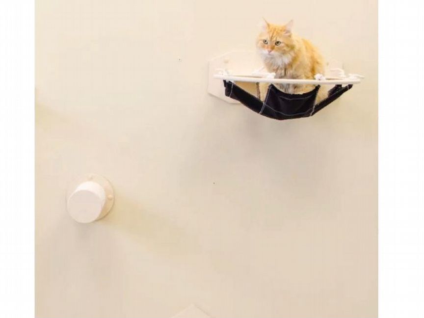 Игровой комплекс для кошки, гамак для кошки