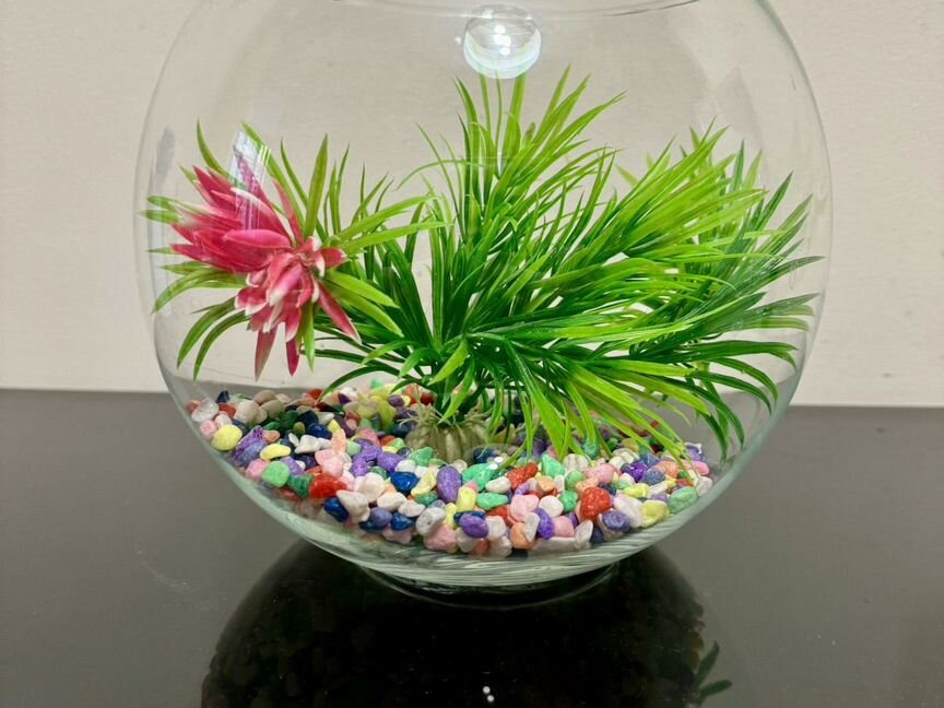 Аквариум для одной рыбки